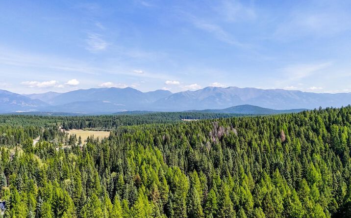 419 Meadow Creek Trail, Fortine, MT 59918 | Crexi.com