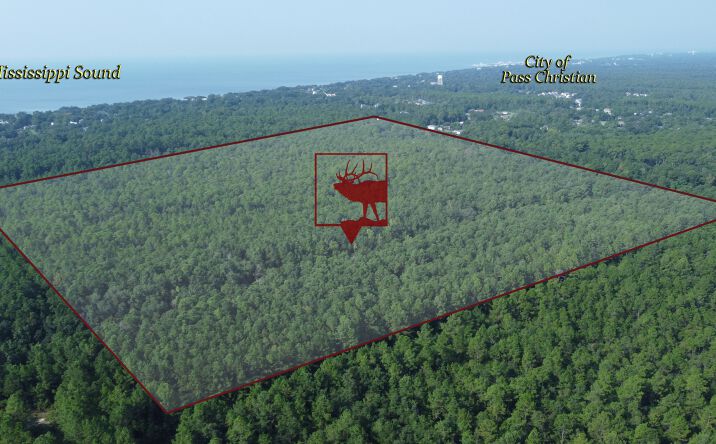 O Alicia Street, Pass Christian, MS 39571 | Crexi.com