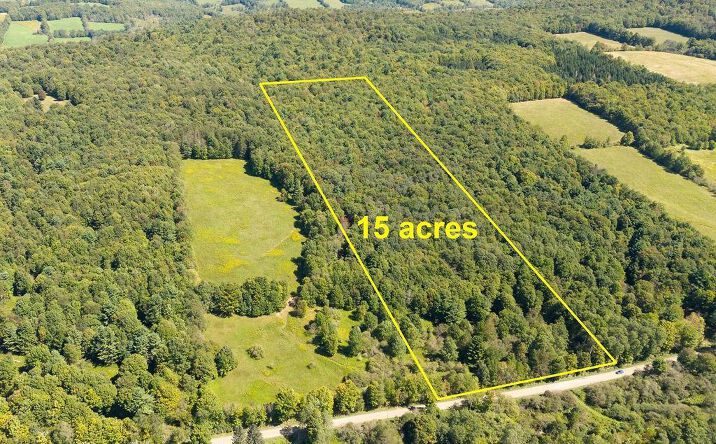 Fox Farm Road, Sidney, NY 13838 | Crexi.com