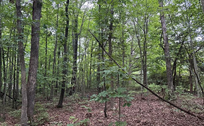 Lt 73-75 Highway 47, South Hill, VA 23924 | Crexi.com