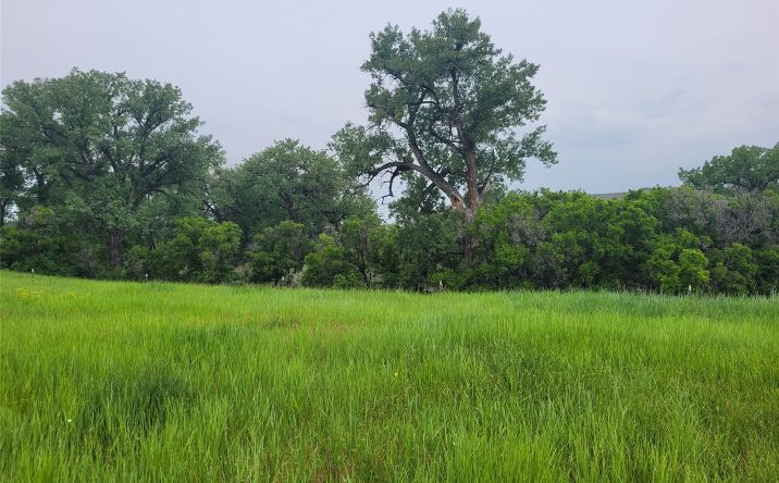 Lot 35 Russell Ranch Lane, Great Falls, MT 59405 | Crexi.com
