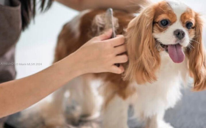 SPRINGTREE LAKES DR Sunrise FL 33351 APN: 494117010040 | Crexi.com