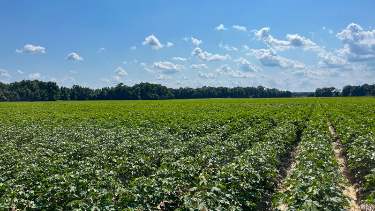 TLM Headquarters Farm, Phillips, AR 72390 | Crexi.com
