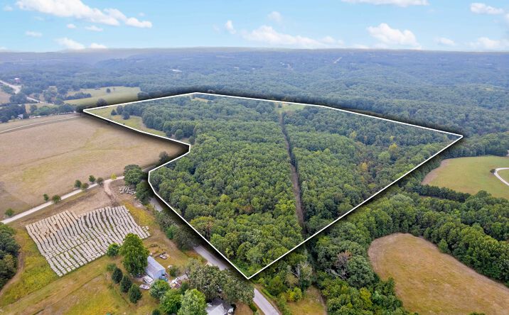 808 Coon Ridge Rd, Galena, MO 65656 | Crexi.com