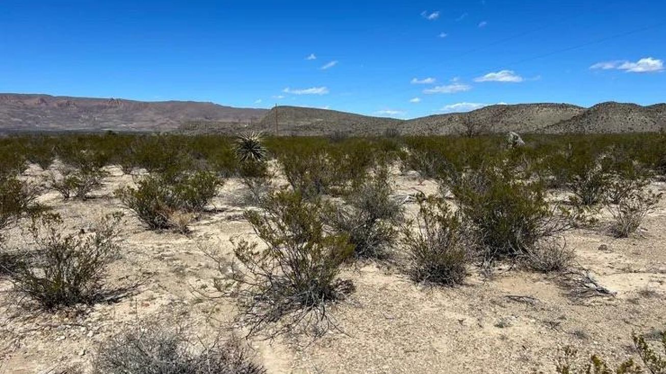 31466b Ringtail, Terlingua, TX 79852 | Crexi.com