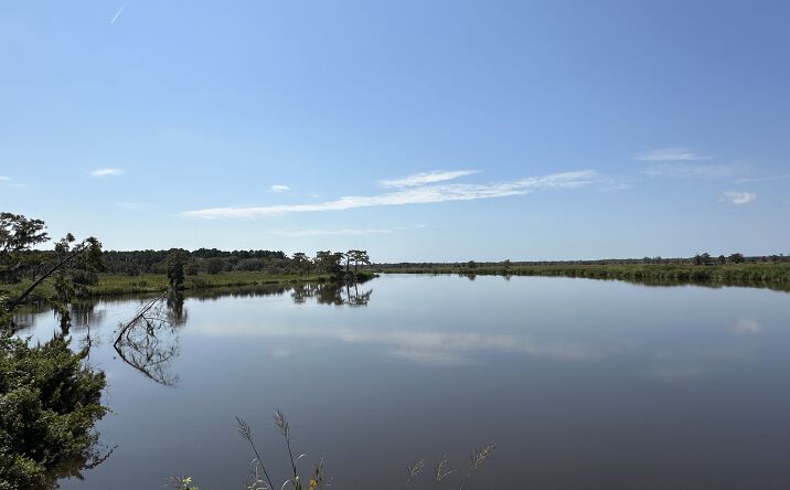 1231 River Dr SW, Darien, GA 31305 | Crexi.com