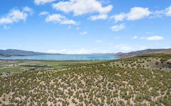 Marilee Guinan - Realtypath LLC - Advantage | Crexi