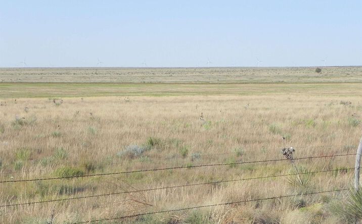 2401 STATE HWY 252 HWY House NM 88121-9713 APN: 116902946246200 | Crexi.com