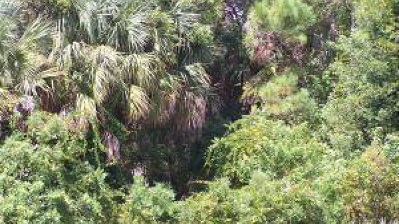 0 Satellite Blvd, West Cocoa, FL 32926 | Crexi.com