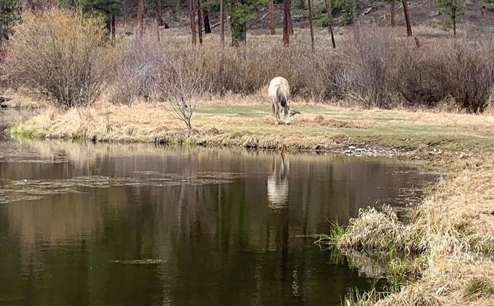 NHN US Hwy 93, Conner, MT 59827 | Crexi.com