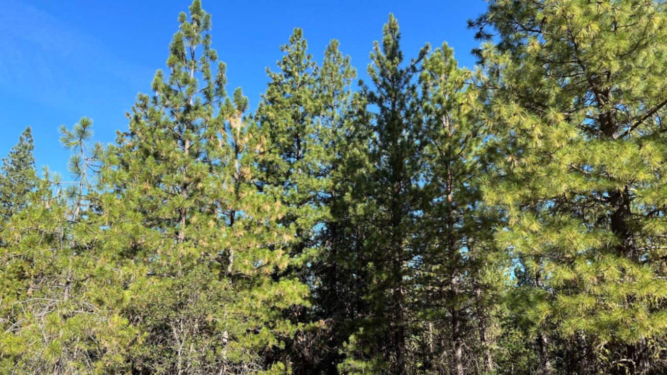 000 No Road, Goldendale, WA 98620 | Crexi.com