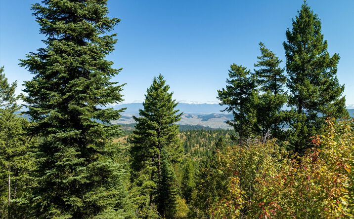 Nhn Lone Elk Trail, Kila, MT 59920 | Crexi.com