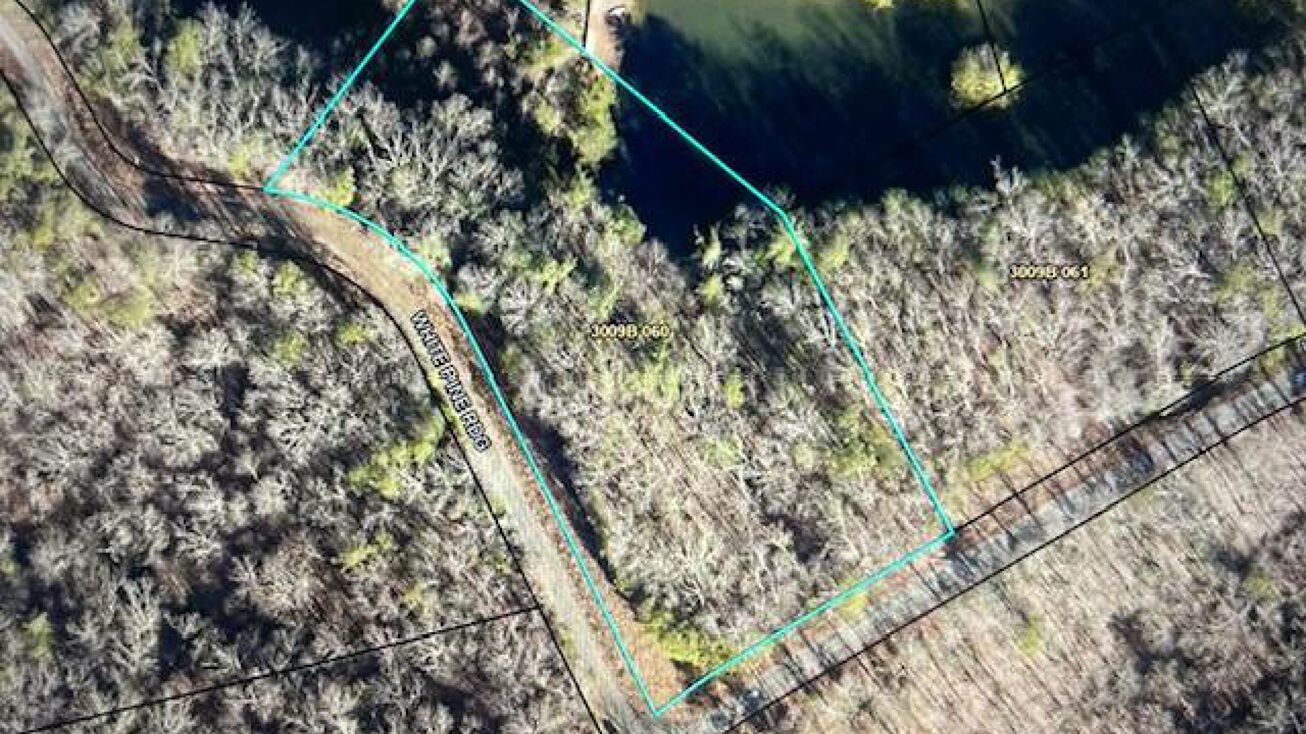 LT 50 White Pine Ridge, Ellijay, GA 30540 | Crexi.com