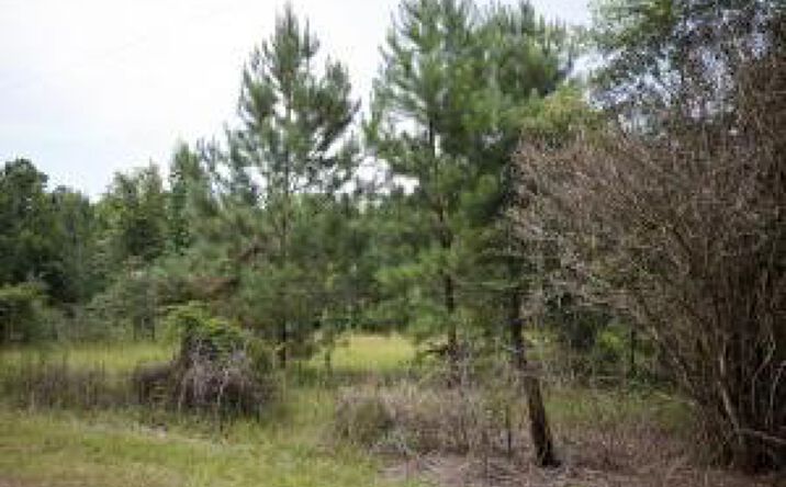 0 Utsey Hill Rd, Saint George, SC 29477 | Crexi.com