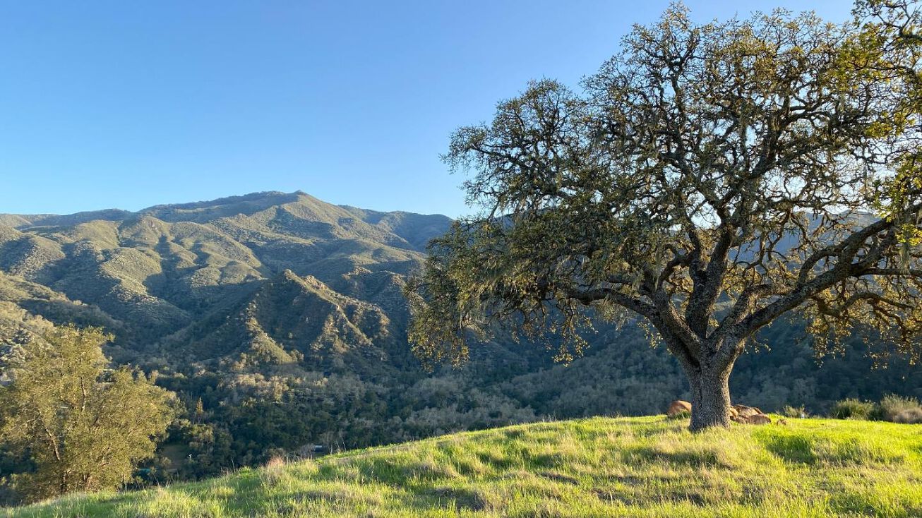 30025 Olivia Dr, Greenfield, CA 93927 | Crexi.com