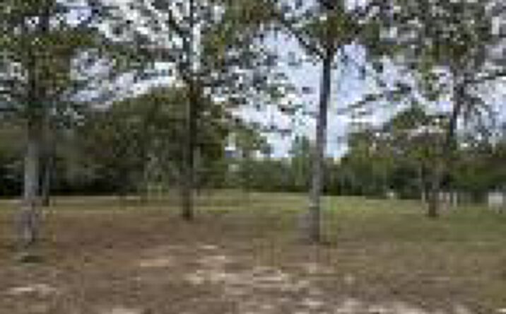 00 Windsor Road, Windsor, SC 29856 | Crexi.com