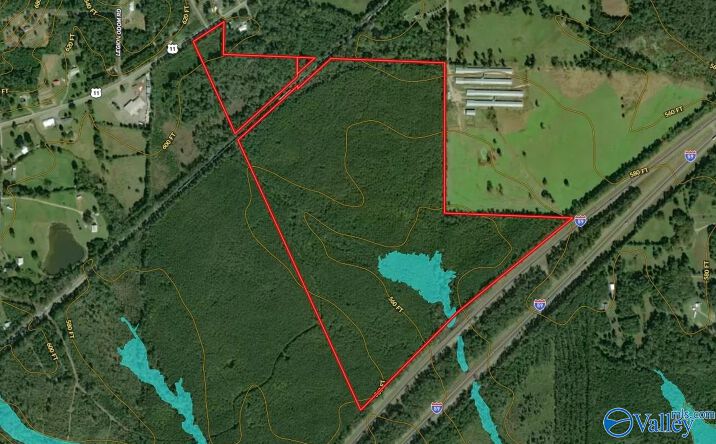 130 Acres Highway 11, Steele, AL 35987 | Crexi.com