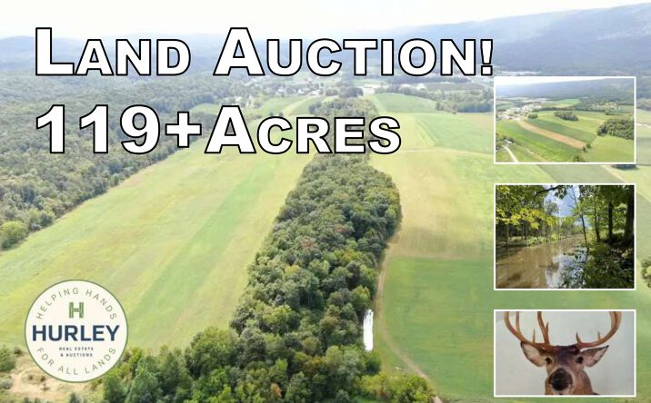 Matthew Hurley - Hurley Auctions | Crexi