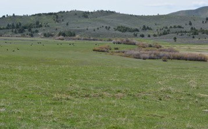 TBD Russell Road, Prairie, ID 83647 | Crexi.com