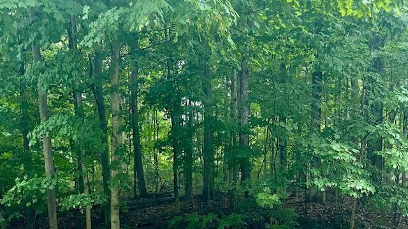 7326 State Rte 19, Mount Gilead, OH 43338 | Crexi.com