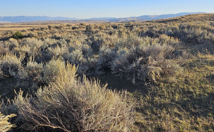 TBD Shy Road, Wilsall, MT 59086 | Crexi.com