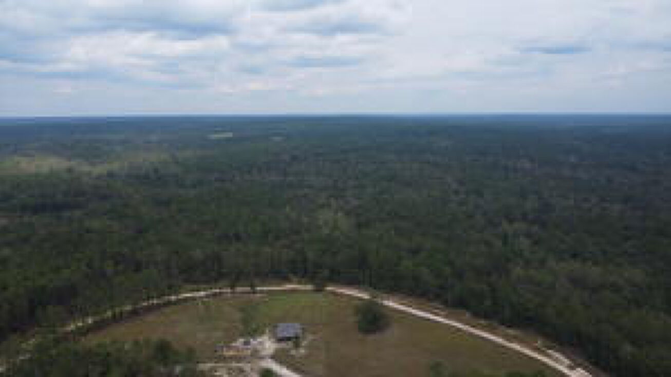 1365 Lot 4 Dairy Road, Ridge Spring, SC 29129 | Crexi.com