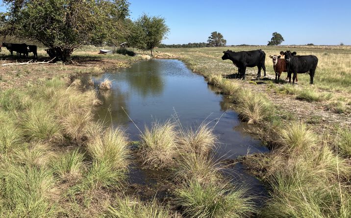 Moore Ranch - 160 Acres, Wheeler, TX 79096 | Crexi.com