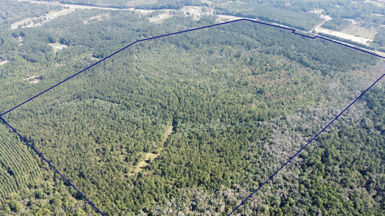 Floyd Johnston Rd, Malcolm, AL 36553 | Crexi.com