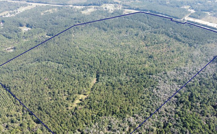 Floyd Johnston Rd, Malcolm, AL 36553 | Crexi.com