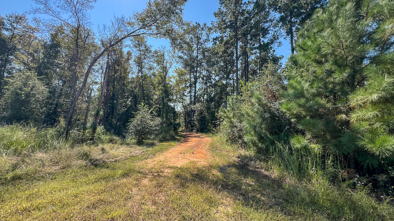 0 Off County Road 2925, Weches, TX 75844 | Crexi.com