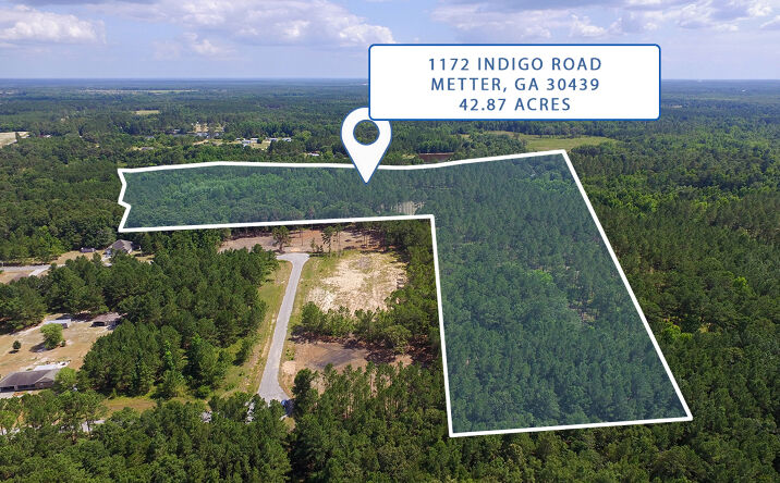 45302 GA-46, Metter, GA 30439 | Crexi.com