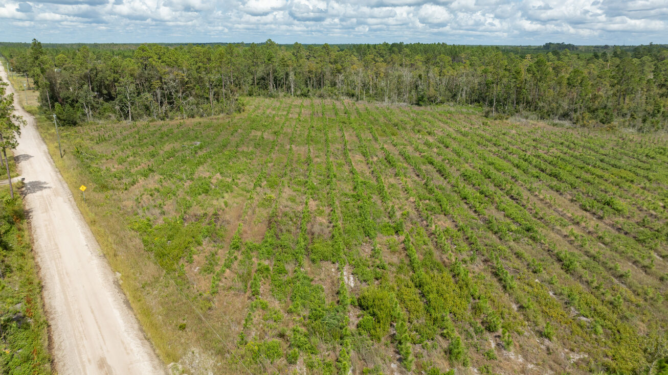 Goodwin Rd, Hilliard, FL 32046 | Crexi.com