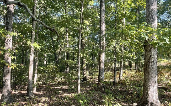 1 Murphy Hollow Rd, Waynesboro, TN 38485 | Crexi.com
