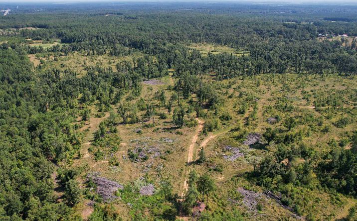 McKissack Timberland, Yorktown, AR 71678 | Crexi.com