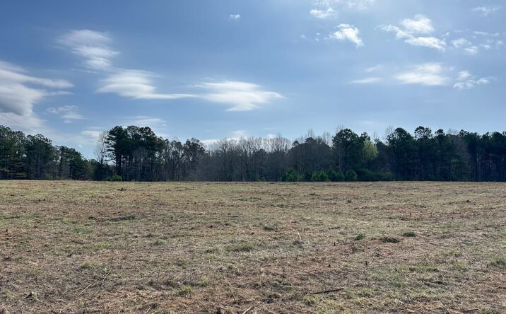 Delashaw Rd, Haleyville, AL 35565 | Crexi.com