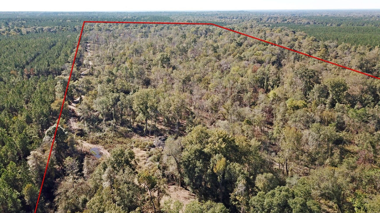 Levi Dunn Branch, Texas, Lufkin, TX 75904 | Crexi.com