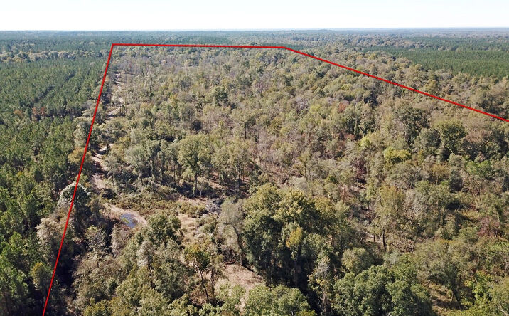 Levi Dunn Branch, Texas, Lufkin, TX 75904 | Crexi.com