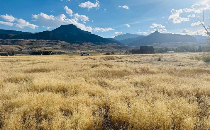 TBD Copperleaf Dr, Cody, WY 82414 | Crexi.com