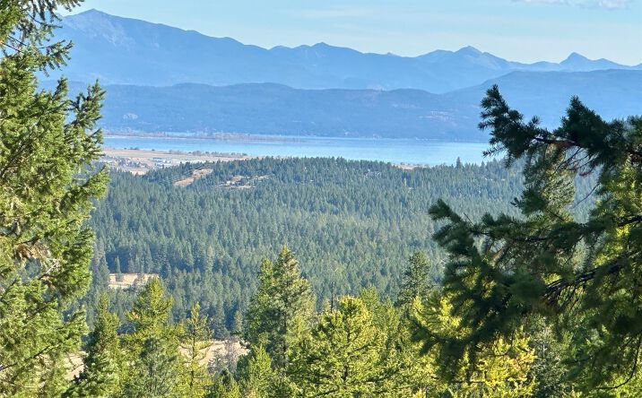 107 Overlook Ridge, Kalispell, MT 59901 | Crexi.com