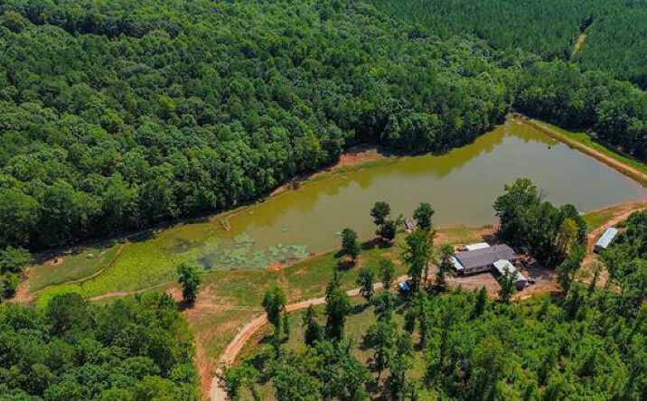 0 Burger Curb, Sprott, AL 36756 | Crexi.com