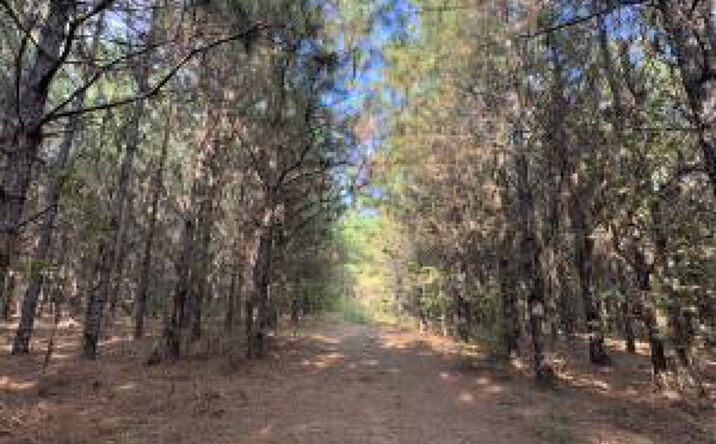 410 Alabama State, Clio, AL 36017 | Crexi.com