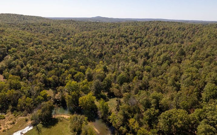 Old Ridge Rd, Sturkie, AR 72578 | Crexi.com