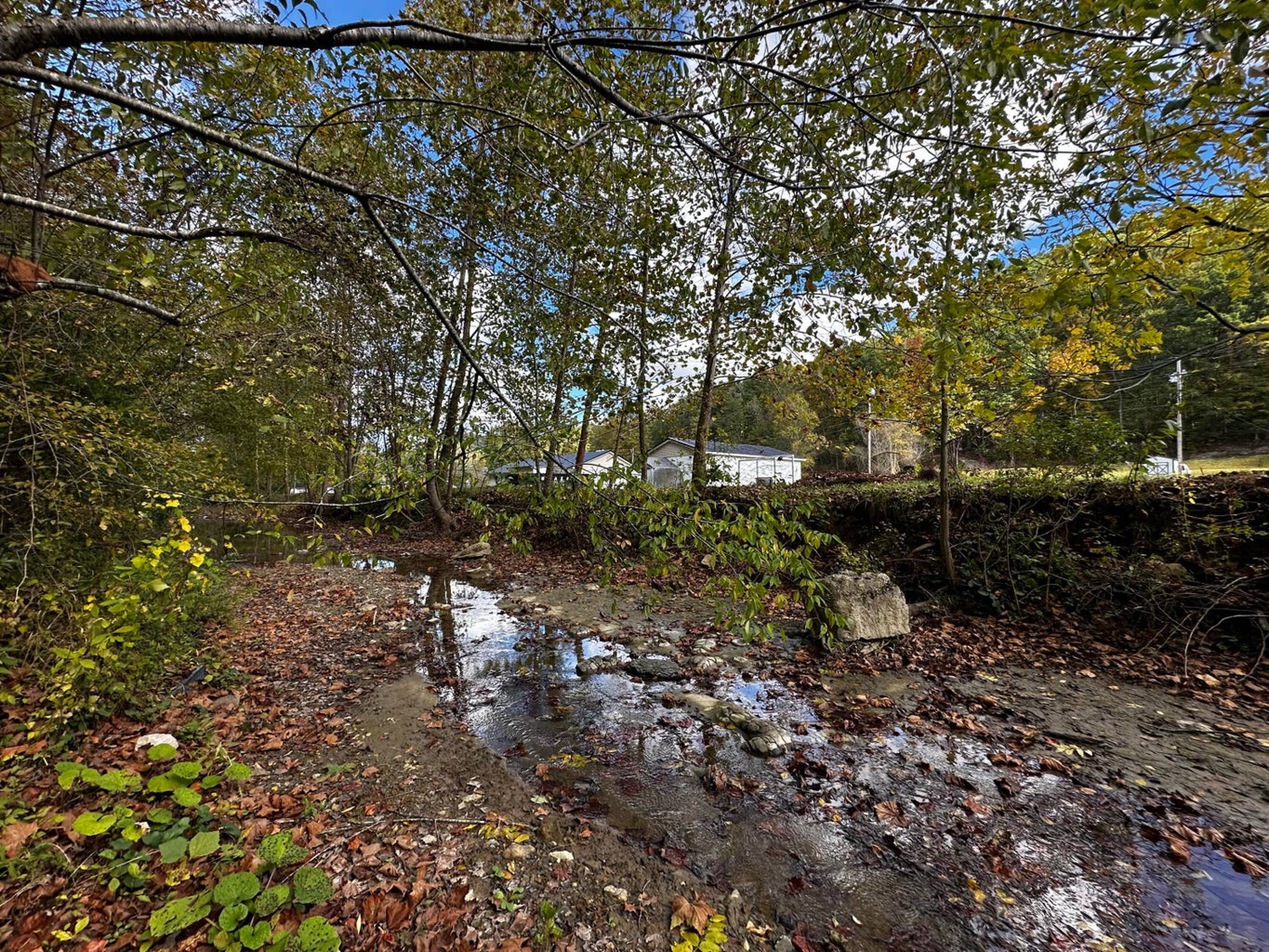 76 CAT CREEK RD Stanton KY 40380 APN: 26P-00-00-019.05 | Crexi.com