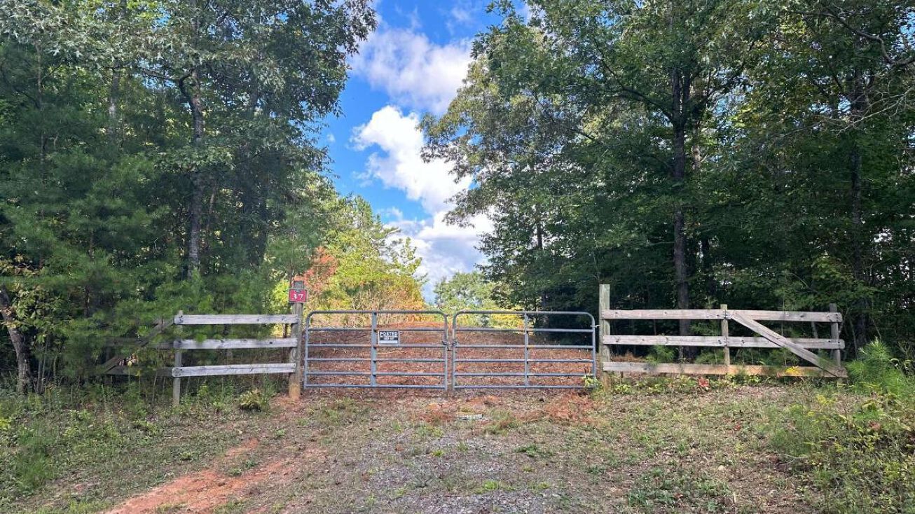 Wildflower Ridge, Warne, NC 28909 | Crexi.com