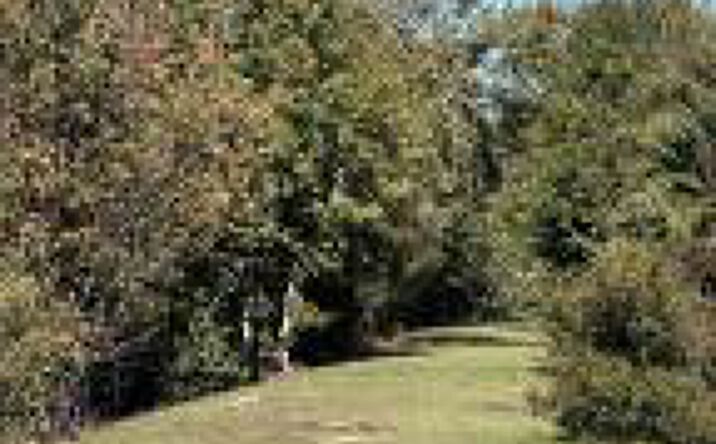 0 Turner Street, Barnwell, SC 29812 | Crexi.com