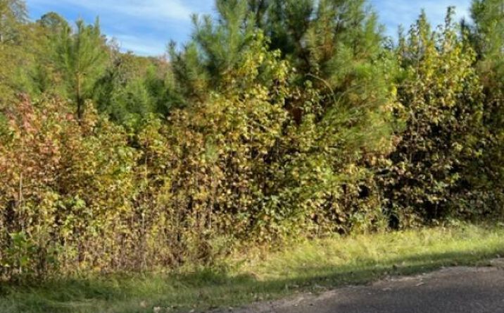676 19th Ave W, Guin, AL 35563 | Crexi.com