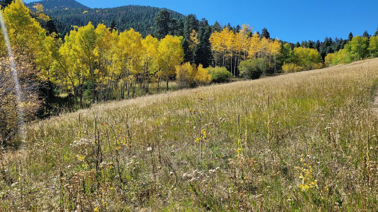 TBD Hwy 165 Rye, Colorado City, CO 81069 | Crexi.com