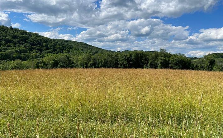 Cascade Mountain Rd, Amenia, NY 12501 | Crexi.com