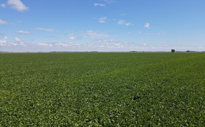 County Rd 115 and 260th Ave, Halstad, MN 56510 | Crexi.com