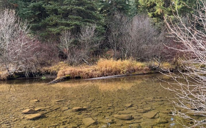 NHN Upper Ford Road, Yaak, MT 59935 | Crexi.com